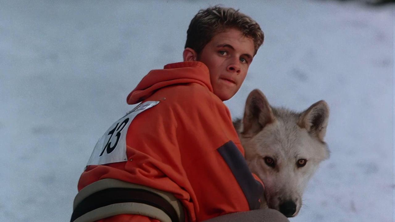 Silver Wolf (1999) | FilmFed