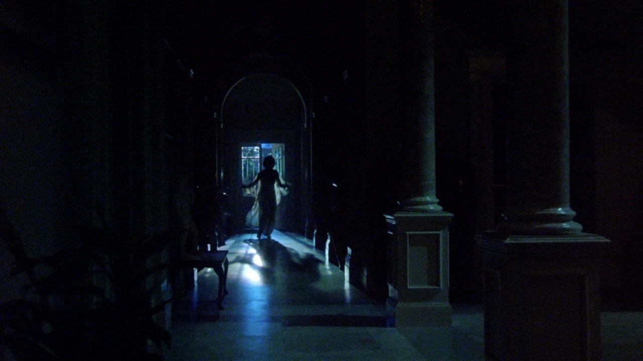 Dominique (1979) | FilmFed