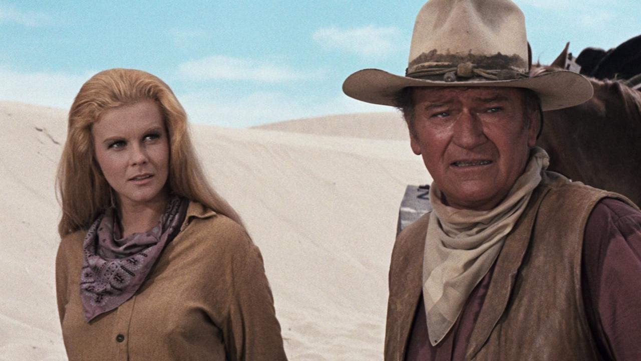 The Train Robbers (1973) | FilmFed