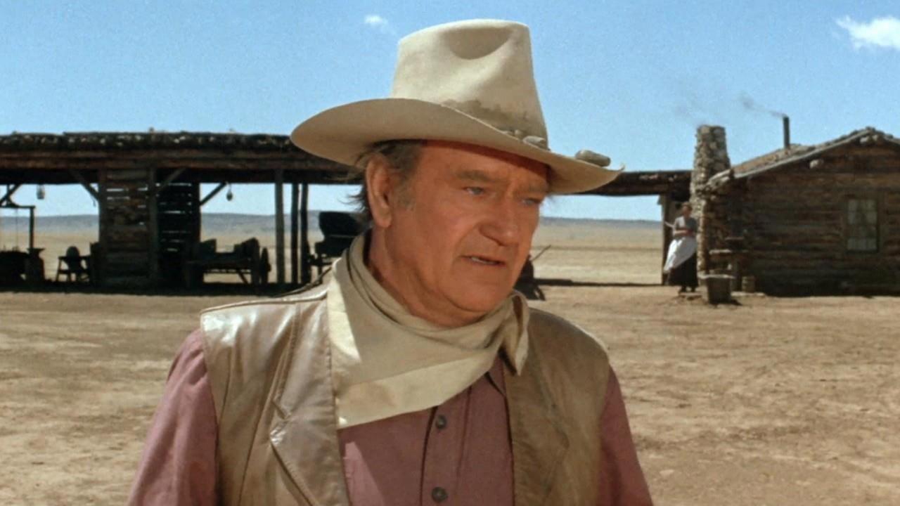 The Cowboys (1972) | FilmFed