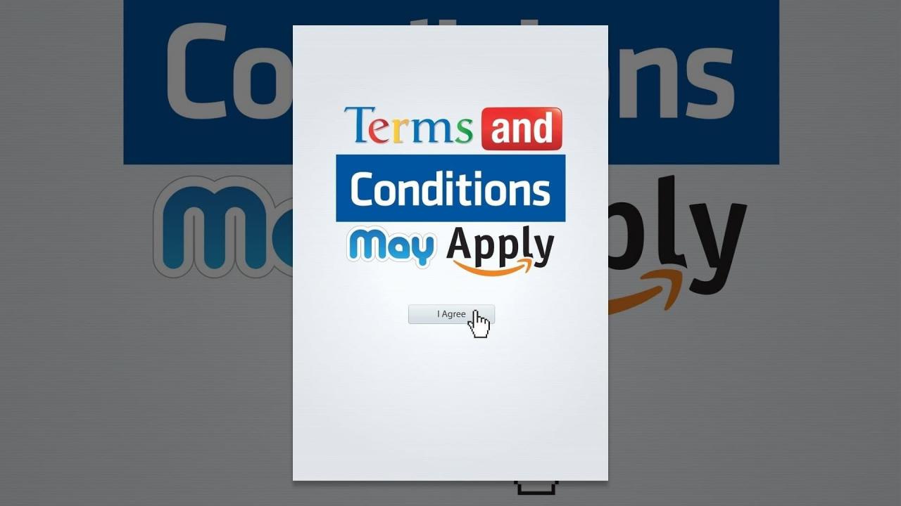 Terms and Conditions May Apply (2013) | FilmFed