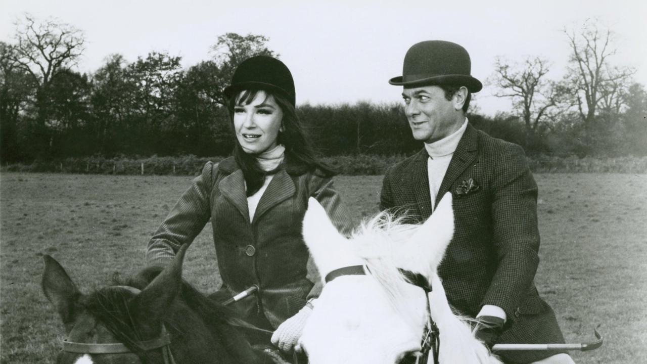 Drop Dead Darling (1966) | FilmFed